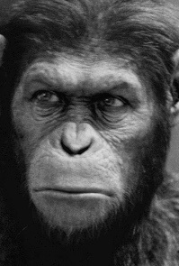 SC EP:480 Female Bigfoot stalks and kills a hog - Sasquatch Chronicles