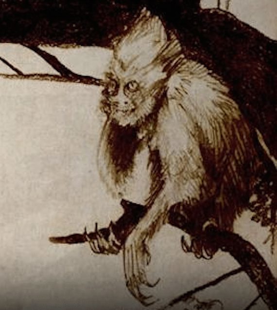 The Mysterious Kalanoro of Madagascar - Sasquatch Chronicles