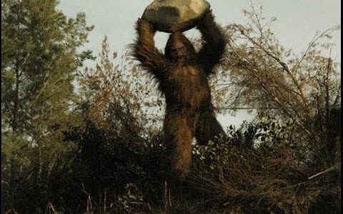 The Rock Throwing Giant - Sasquatch Chronicles