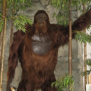 Lecture: What Is Sasquatch? - Sasquatch Chronicles