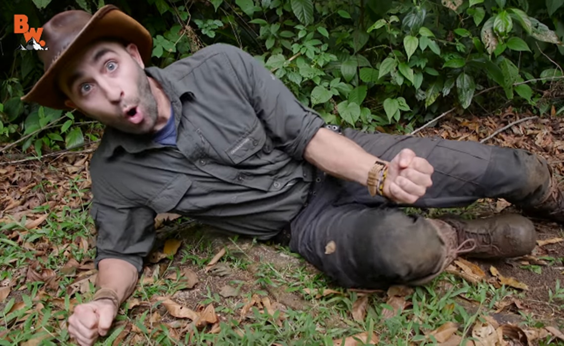 Brave Wilderness Stung By A Velvet Ant Sasquatch Chronicles