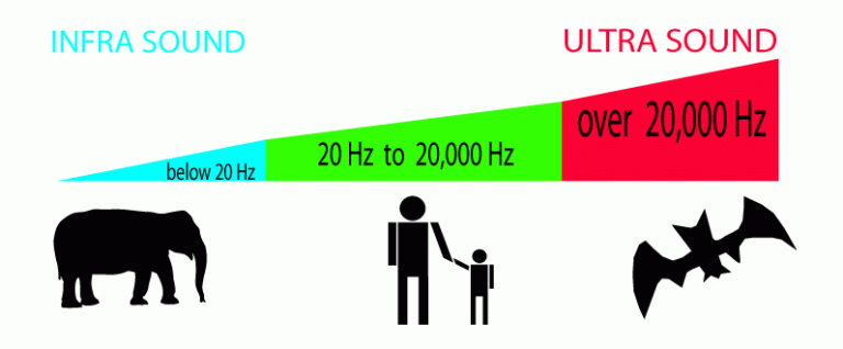 Understanding Infrasound - Sasquatch Chronicles Understanding Infrasound - Sasquatch Chronicles