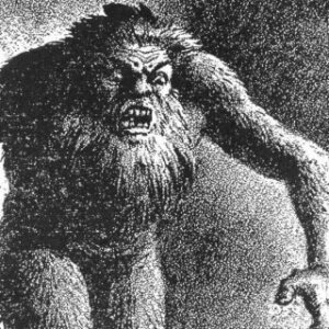The Strange World of New Zealand: Cryptids - Sasquatch Chronicles