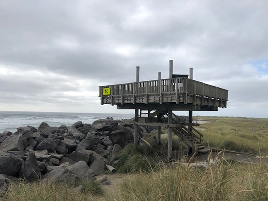 Encounter On The Oregon Coast - Sasquatch Chronicles