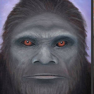 The Bigfoot - A Documentary by Casual Preppers - Sasquatch Chronicles