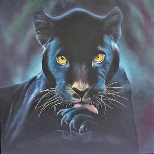 Ken Gerhard: Cryptid Black Panthers Explained - Sasquatch Chronicles