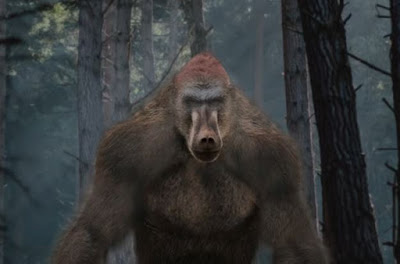 CRYPTIDS 101: Devil Monkey - Sasquatch Chronicles