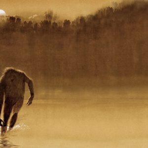 CRYPTIDS 101: Fouke Monster - Sasquatch Chronicles