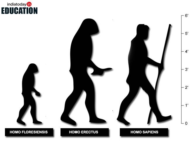 When Hobbits Were Real - Sasquatch Chronicles