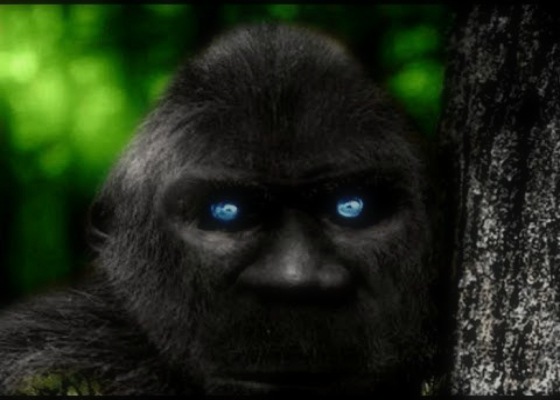 The Origin of the Bigfoot Legend - Sasquatch Chronicles