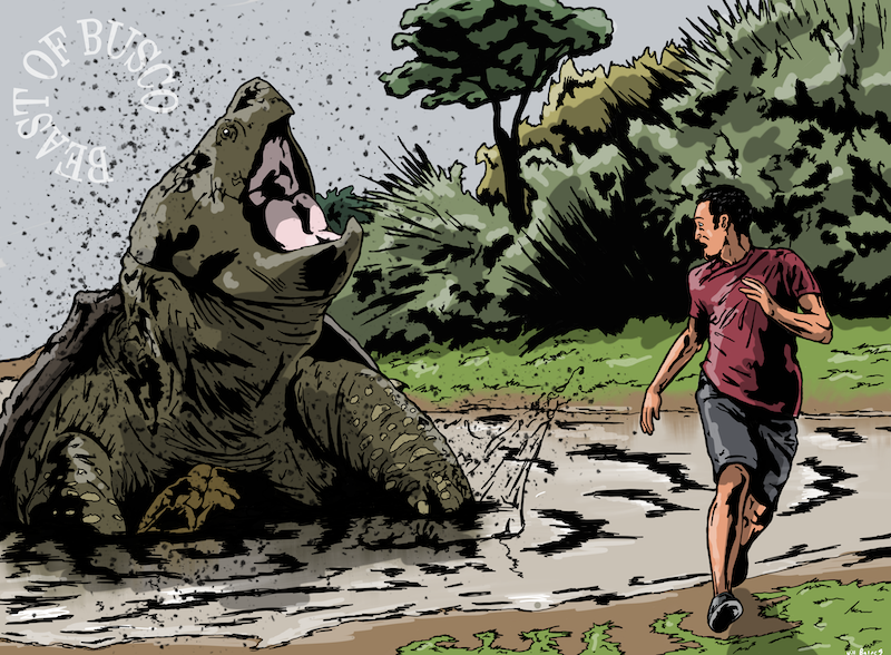 The Beast of Busco - Sasquatch Chronicles