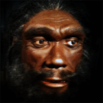 Who Were The Denisovan Humans? - Sasquatch Chronicles