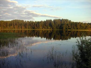 The Brosno Dragon Russia's Nessie - Sasquatch Chronicles