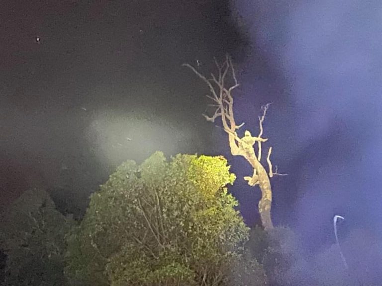Australian Yowie Research: Picture From Last Nights Expedition ...