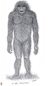 The Barmanou - Sasquatch Chronicles