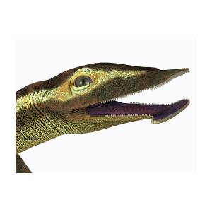 Wes Germer, Author at Sasquatch Chronicles