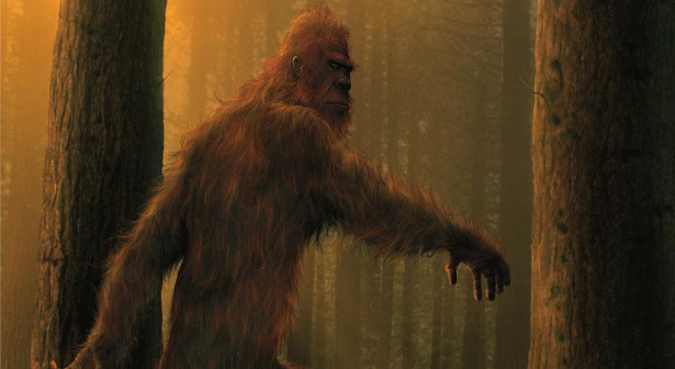 Home - Sasquatch Chronicles