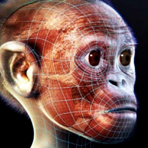 Fossil Focus: The Taung Child - Sasquatch Chronicles