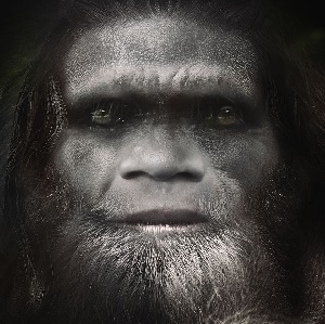 A Non-Human Face Was Looking Directly At Me - Sasquatch Chronicles