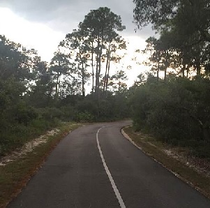 Catman Road In Alabama - Sasquatch Chronicles