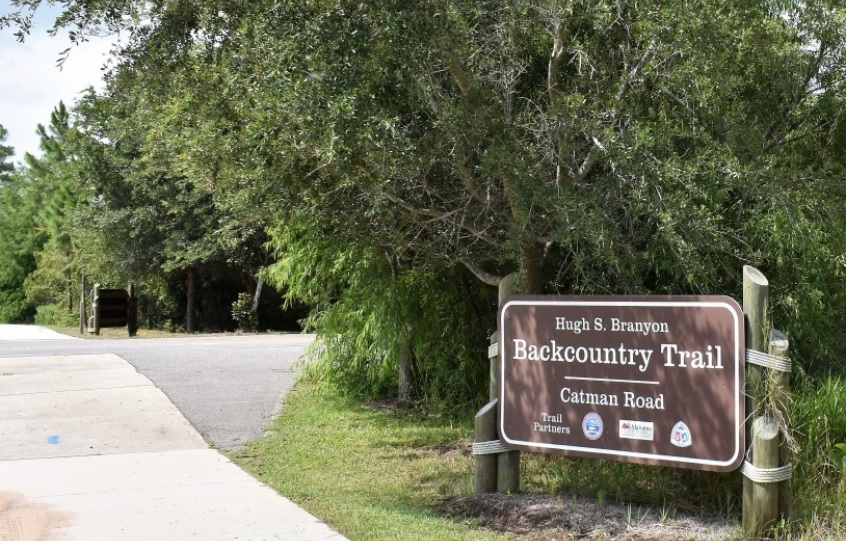 Catman Road In Alabama - Sasquatch Chronicles