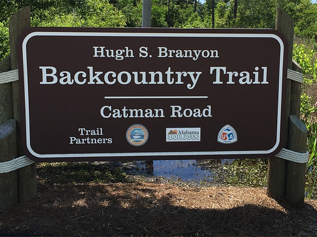 Catman Road In Alabama - Sasquatch Chronicles