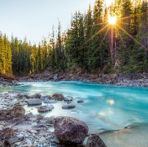 Sasquatch In Remote British Columbia | Sasquatch Chronicles