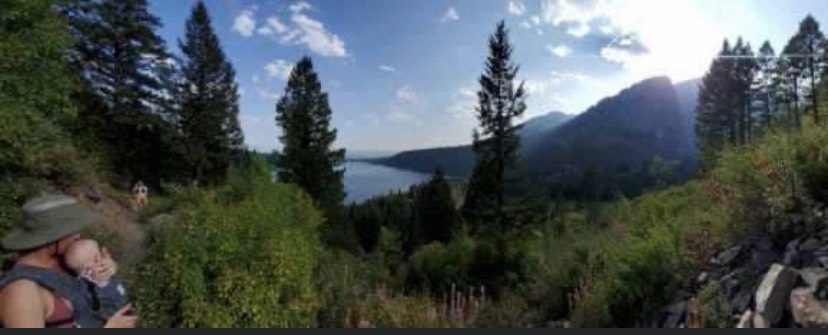 Strange Picture Sasquatch Chronicles