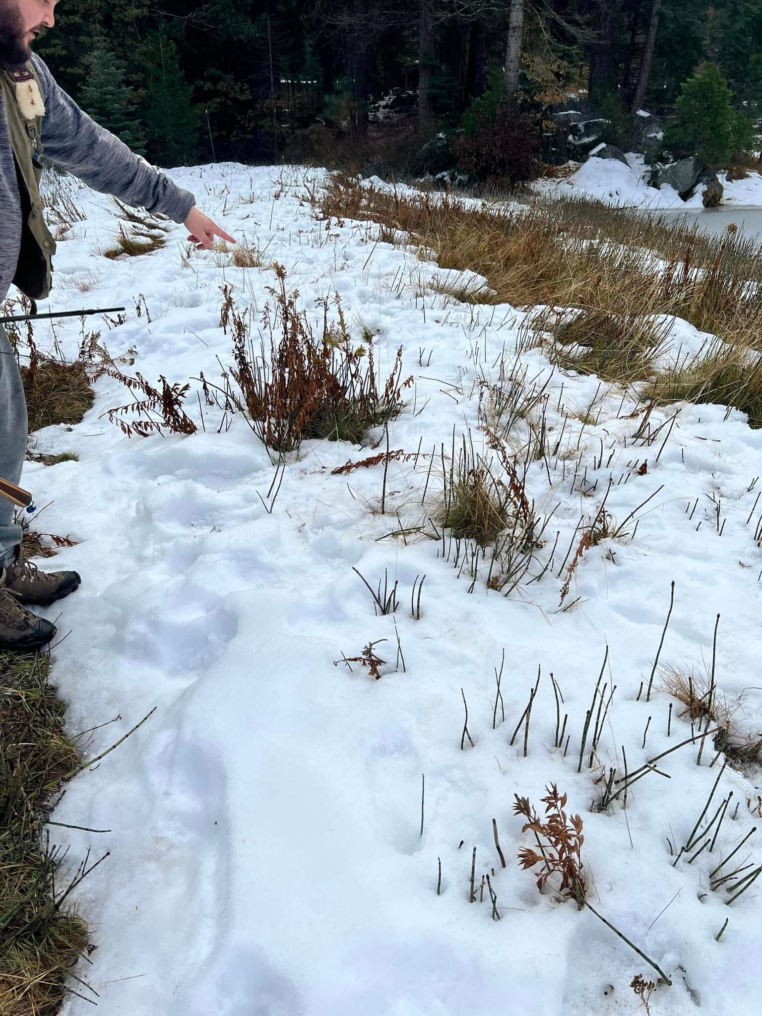 Strange Tracks Found - Sasquatch Chronicles