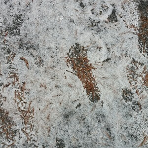 Strange Tracks Found At A Gun Club - Sasquatch Chronicles