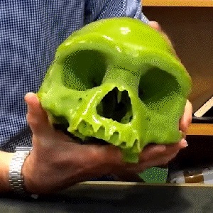 Ancient Human Skull Found In China Could Belong To Homo Erectus ...