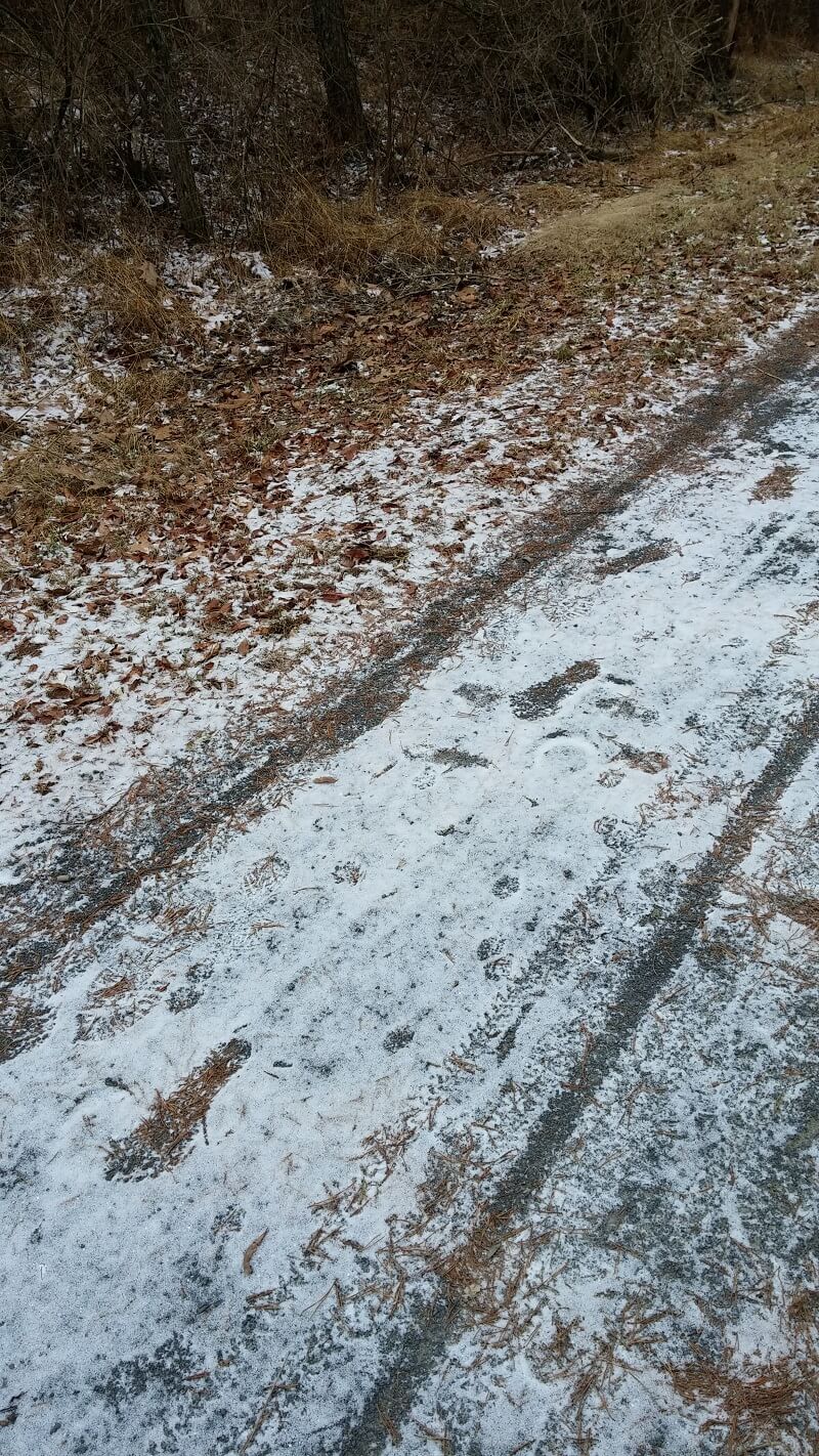 Strange Tracks Found At A Gun Club - Sasquatch Chronicles