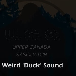 Upper Canada Sasquatch: Expedition Sound Recordings - Sasquatch Chronicles