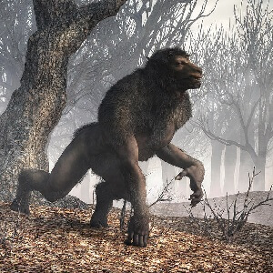 No Way That Was A Dire Wolf - Sasquatch Chronicles