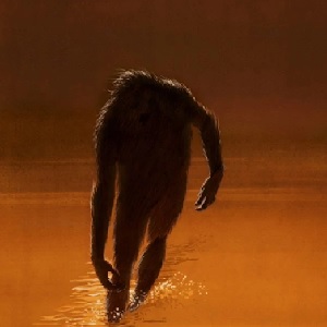 The Legendary Beast Of Boggy Creek Explained - Sasquatch Chronicles