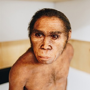 The Extinct Human Species Found In Remote Cave - Sasquatch Chronicles