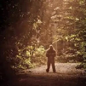 Something was circling the house - Sasquatch Chronicles