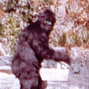 Roger Patterson and Bob Gimlin Interview (Oct 26, 1967) - Sasquatch ...