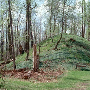 Our Home Was Built On Native American Burial Grounds - Sasquatch Chronicles