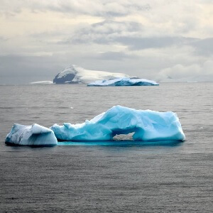 Large creature with 20 arms found lurking in Antarctic sea - Sasquatch ...