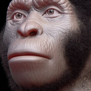 Were small-brained early humans intelligent? - Sasquatch Chronicles