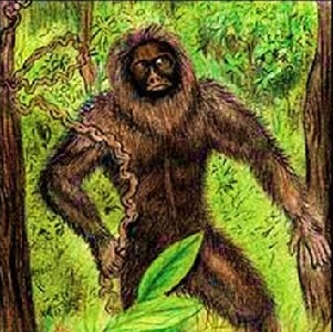 Tonight's Show: Encountering The Mande Burung - Sasquatch Chronicles