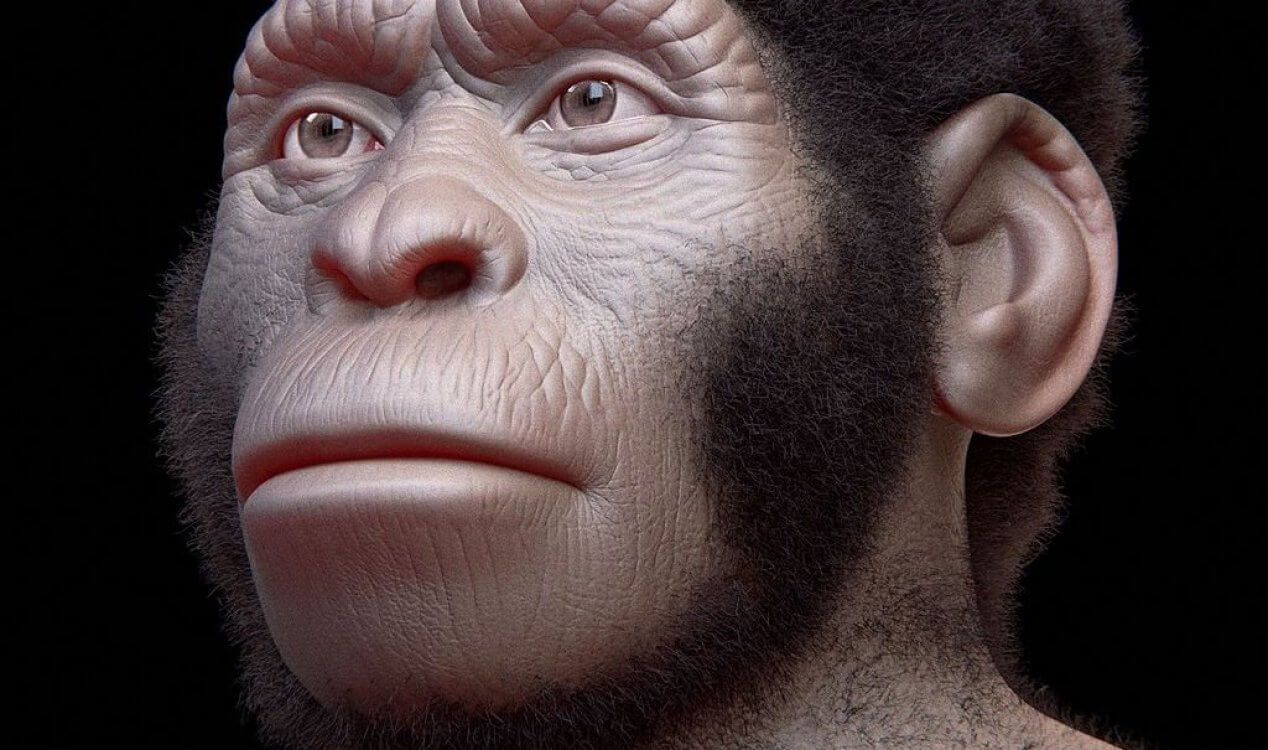 Were small-brained early humans intelligent? - Sasquatch Chronicles