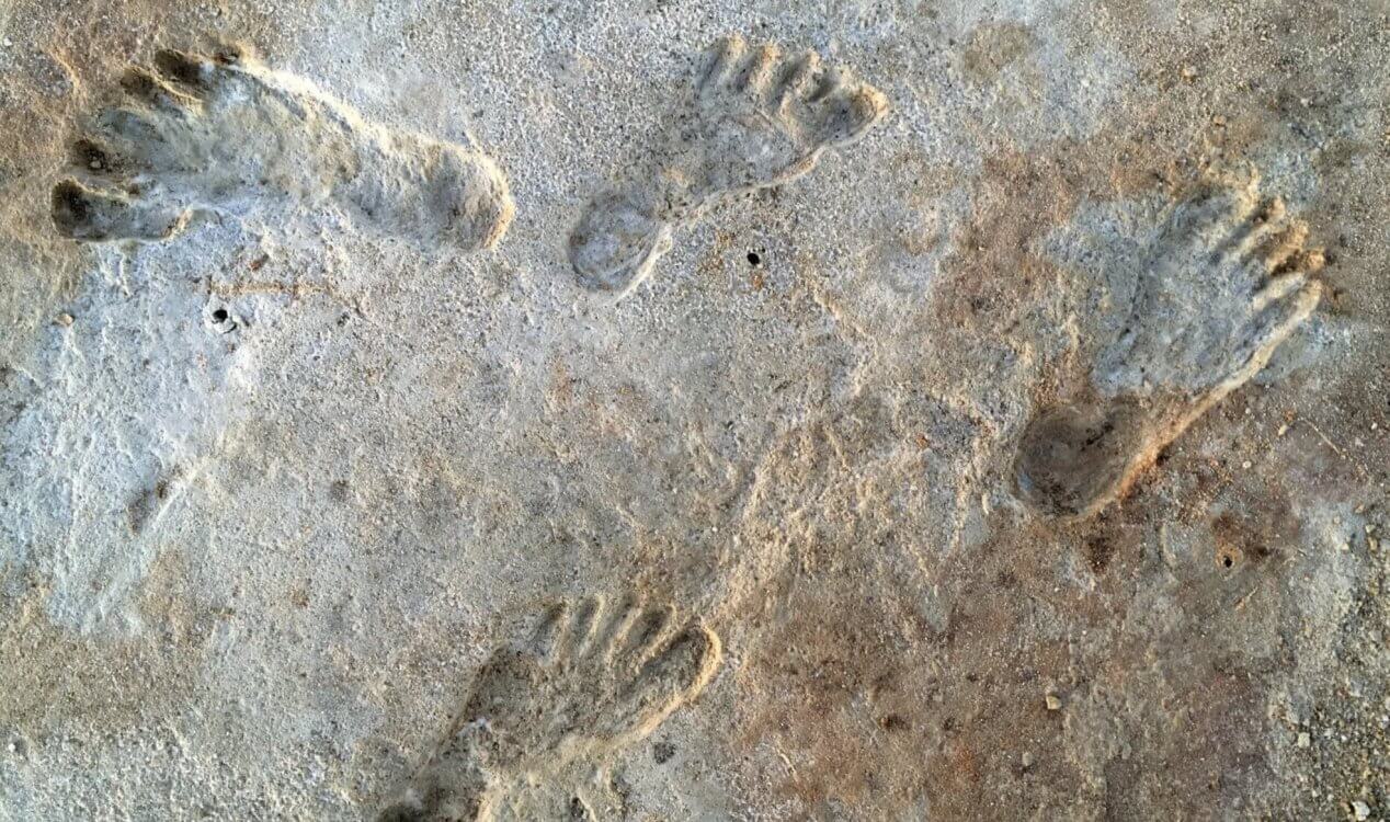 New study Confirms Age Of Oldest Footprints In North America ...