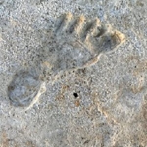 New study Confirms Age Of Oldest Footprints In North America ...