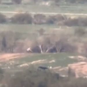 Skin walker sighting video - Vernal, UTAH - Sasquatch Chronicles