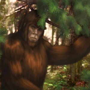 It Stood There Breathing Looking At Me - Sasquatch Chronicles